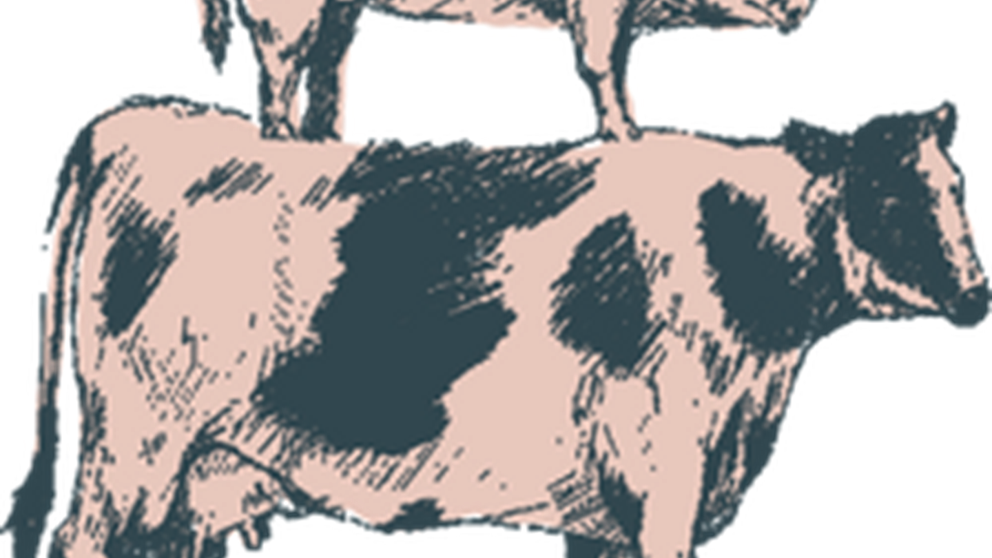 Book Online at Cow & Sow - Birmingham | Dish Cult | Dish Cult