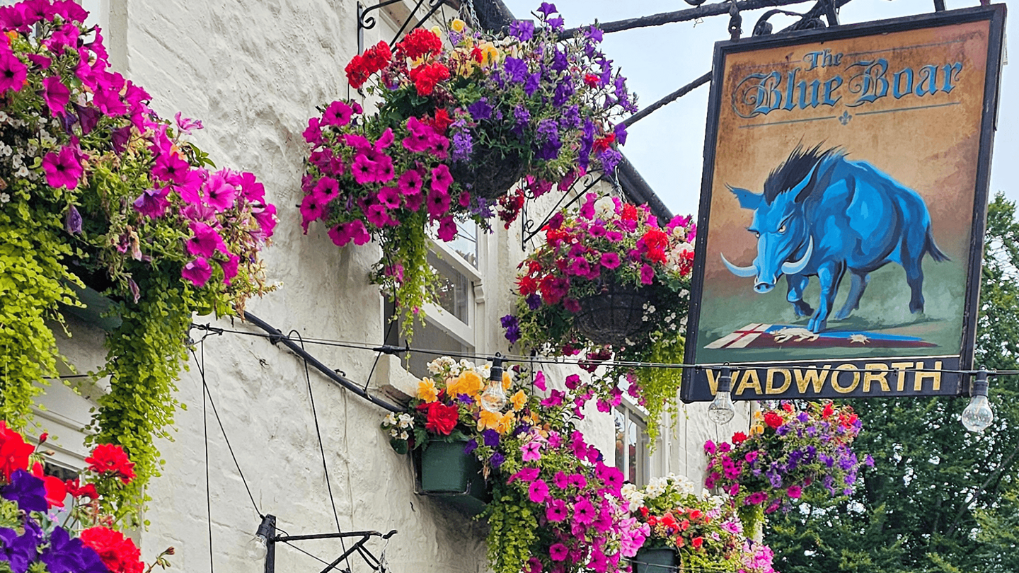 Book Online at The Blue Boar, Aldbourne | Dish Cult | Dish Cult