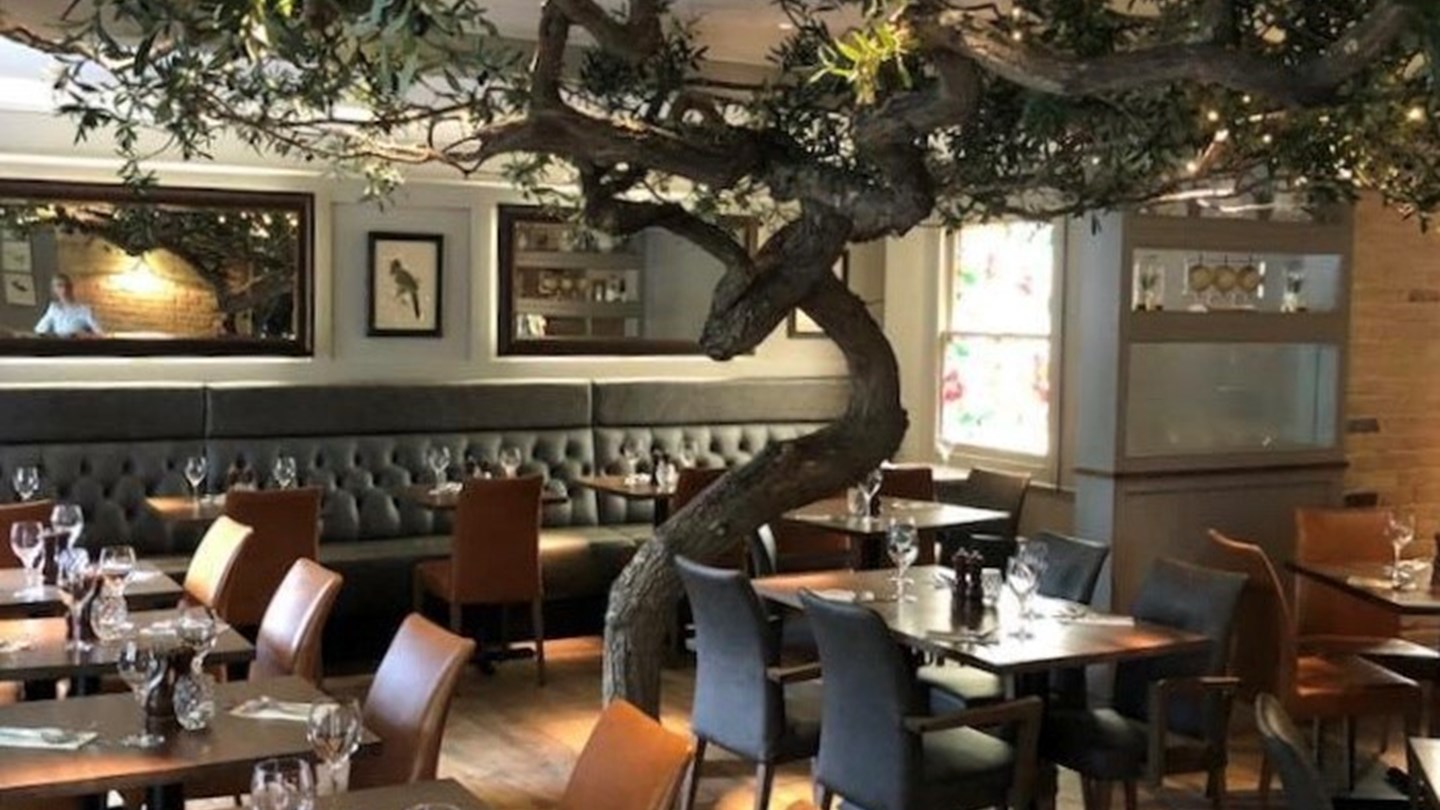 Book Online at Zaza Harpenden | Dish Cult | Dish Cult